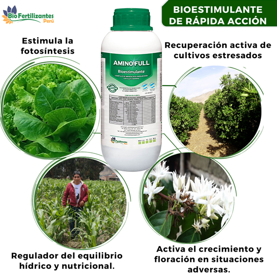 BIOESTIMULANTES - Ecocampo Representaciones S.A.C.